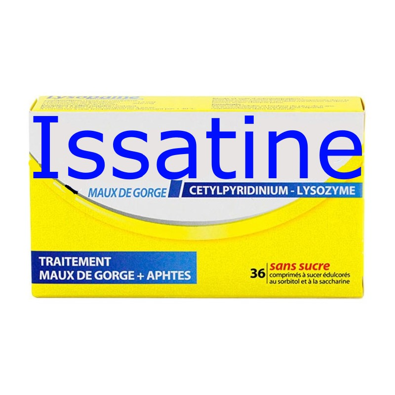 Logo ISSATINE